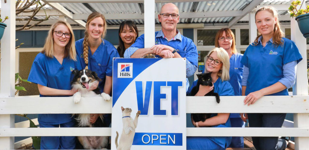 Our Team - Collaroy Veterinary Hospital